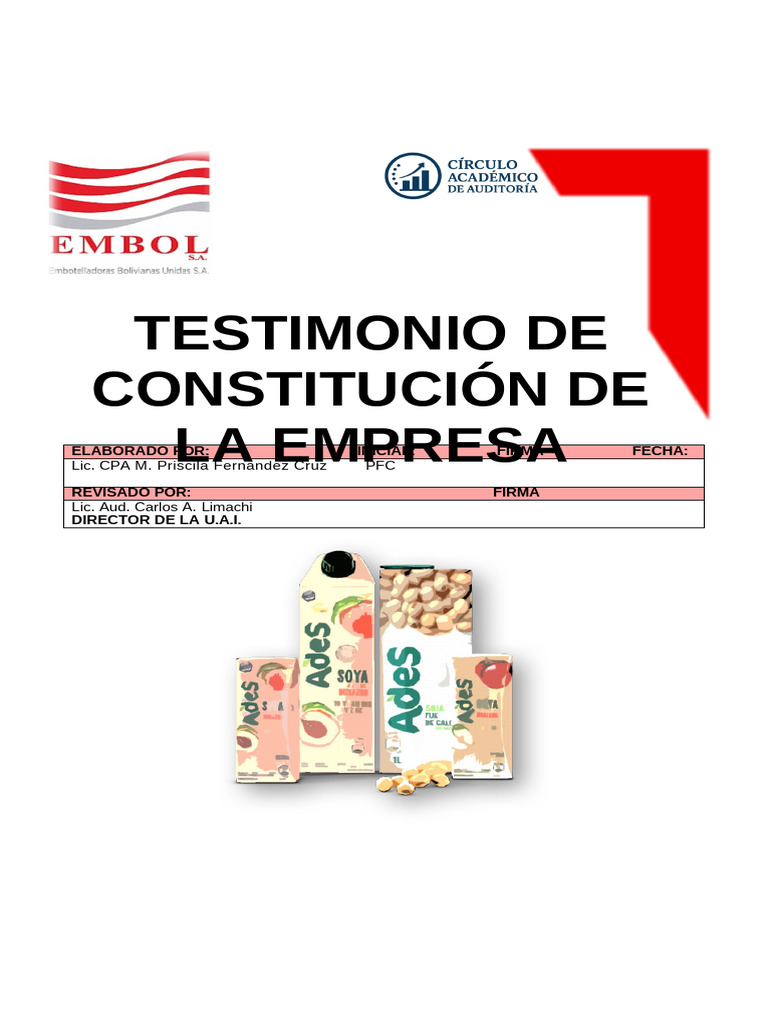 Formatos Caratulas Embol Sa | PDF | Contabilidad | Business