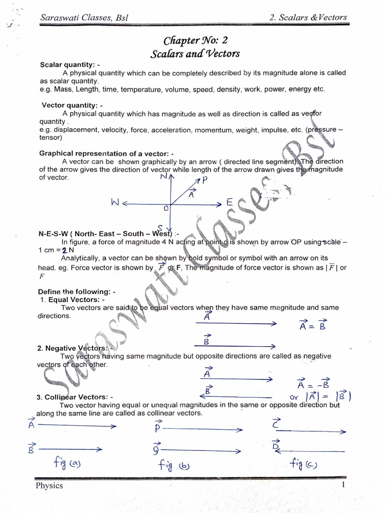 Scalars and Vectors Explained | PDF | Euclidean Vector | Force