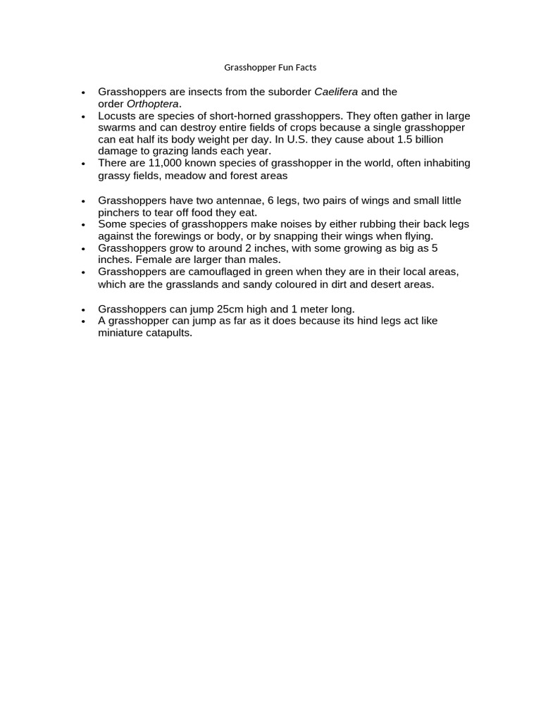Grasshopper Fun Facts Englsih Project 7th Grade | PDF