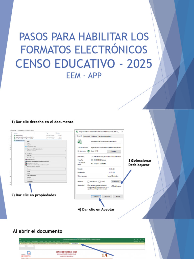 Habilitar Formatos Electrónicos Censo 2025 | PDF