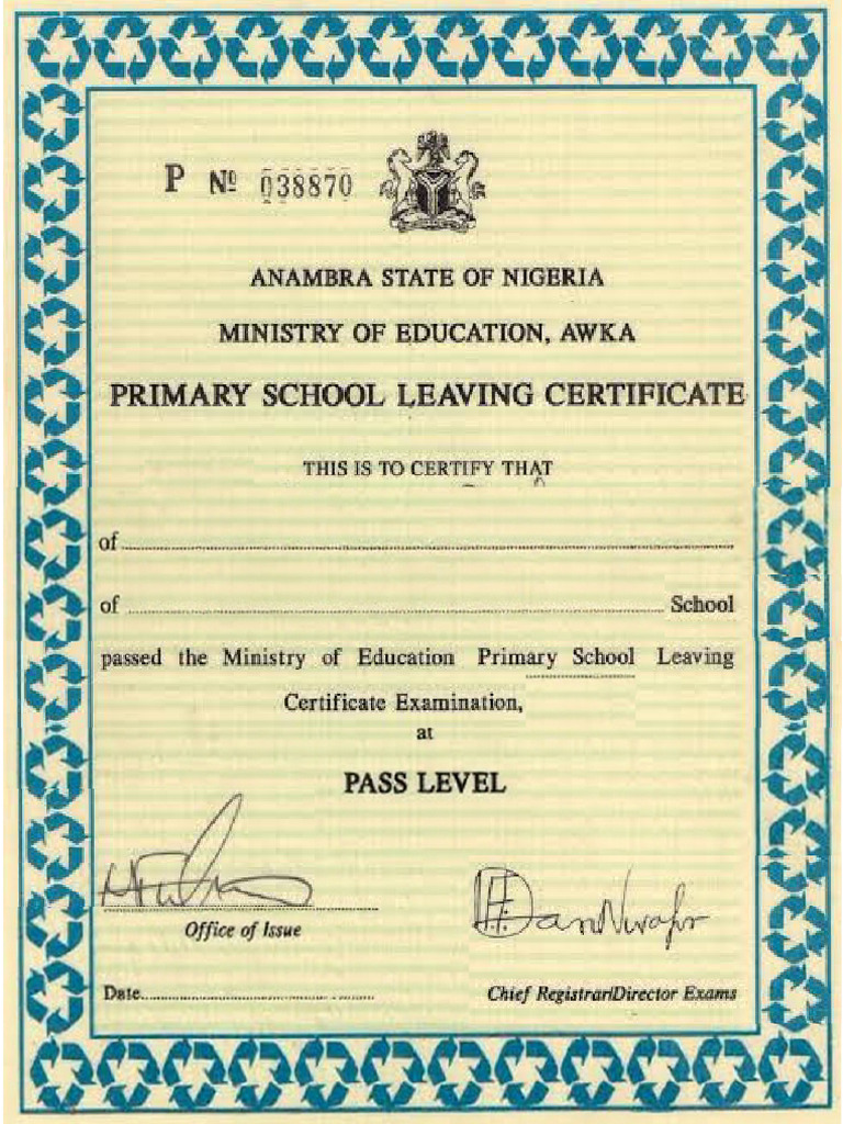 Primary School Cert. | PDF