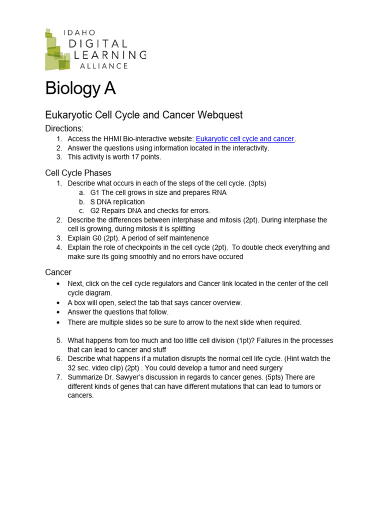 Eukaryotic Cell Cycle & Cancer Webquest | PDF