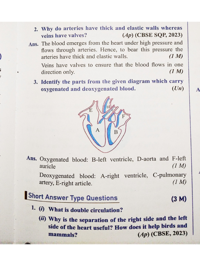 Transportation Target Sheet 1 | PDF