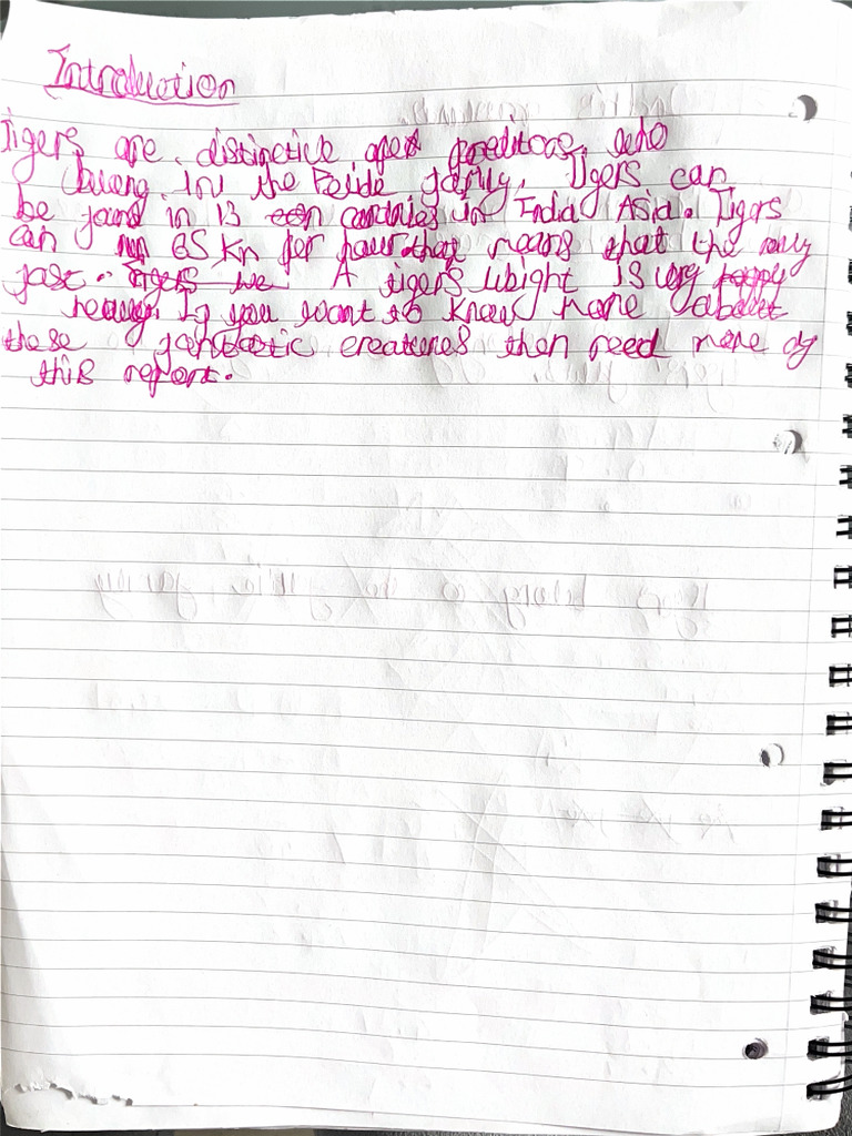 Scanned Documents 2 | PDF