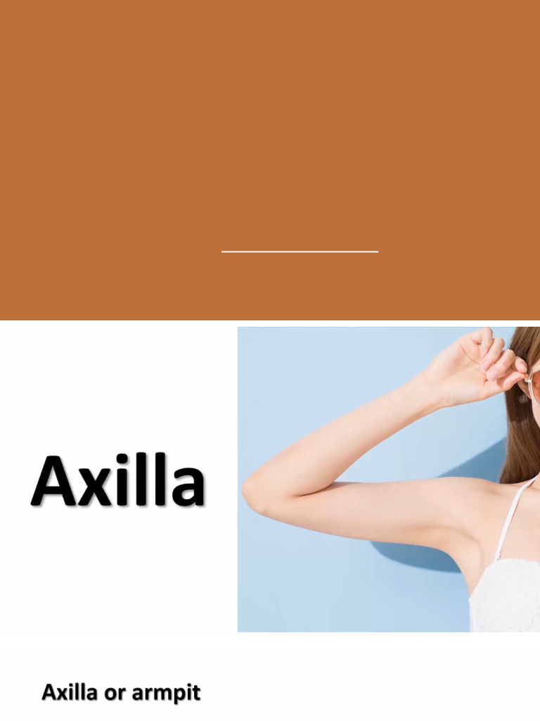 Axilla | PDF