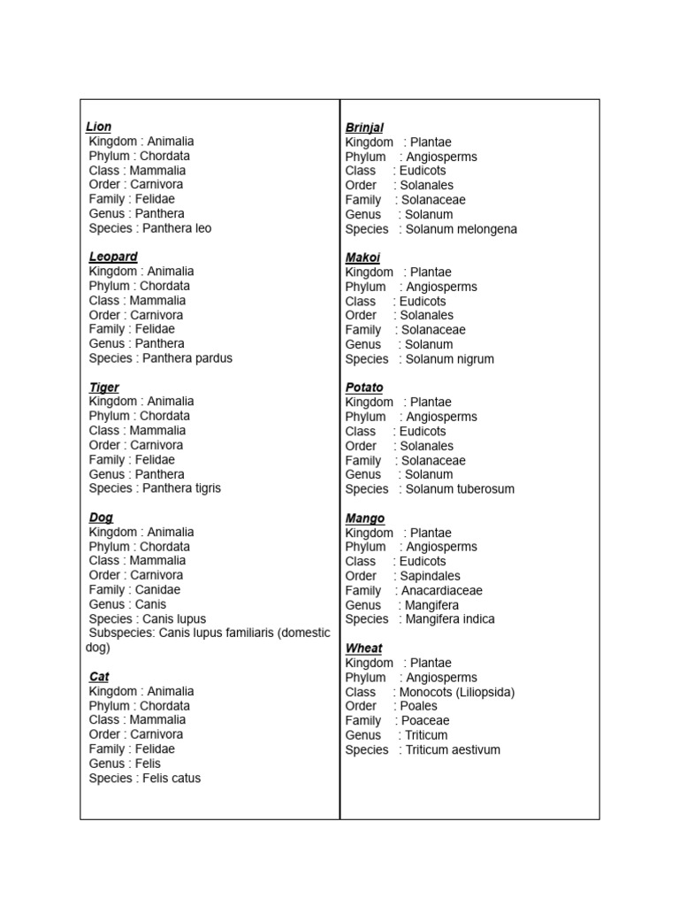 Taxonomic Hierarchy of Animals and Plants | PDF | Genus | Biology