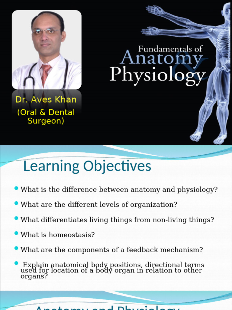 Anatomy and Physiology Overview | PDF | Anatomical Terms Of Motion ...