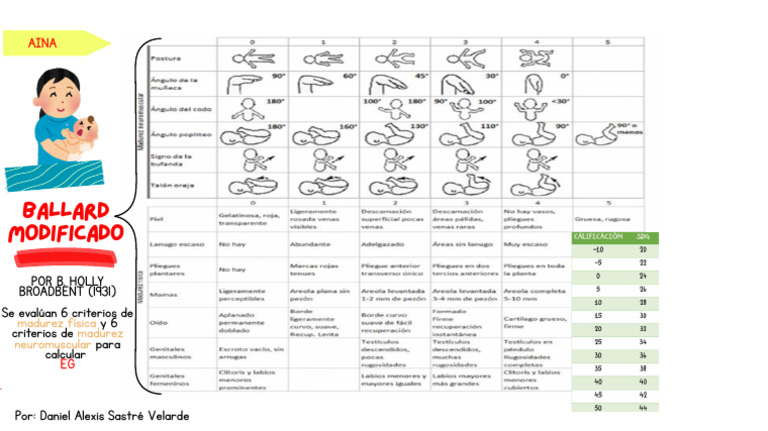 Evaluación de Ballard Modificado | PDF
