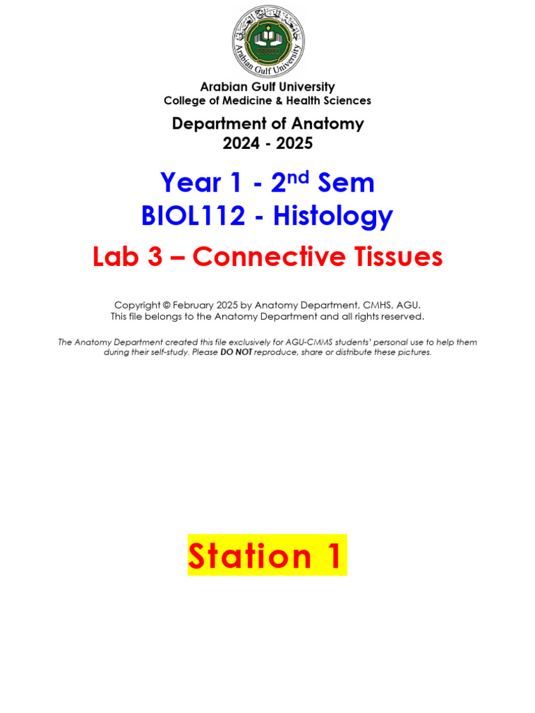 BIOL112 - Lab 3 (PDF) - Connective Tissues - Slides | PDF