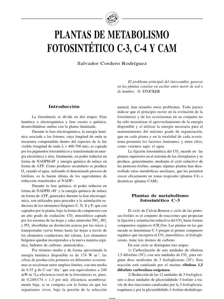 Plantas C3 y C4 | PDF