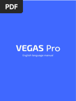 ViViD Software Suite Manual | PDF | Window (Computing) | Typefaces