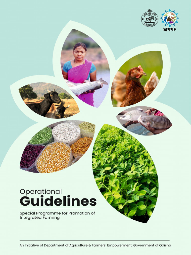 SPPIF Project Overview and Components | PDF | Agriculture | Crop Rotation