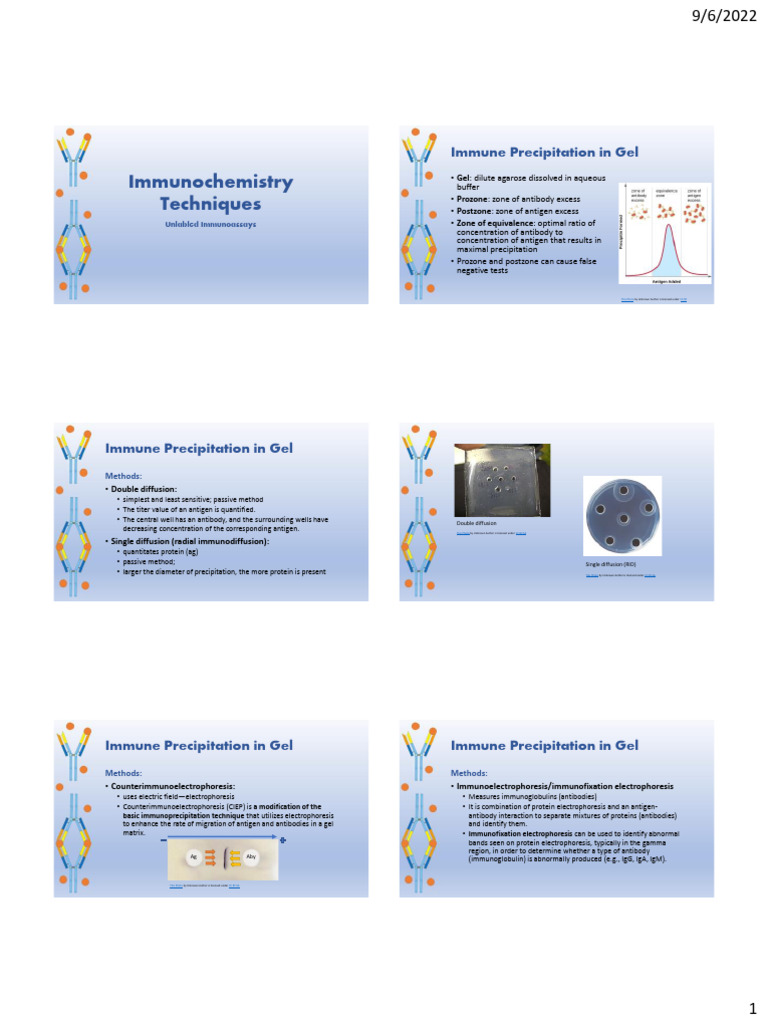 Immunochemical Techniques Unlabeled Assays | PDF | Antibody | Gel Electrophoresis