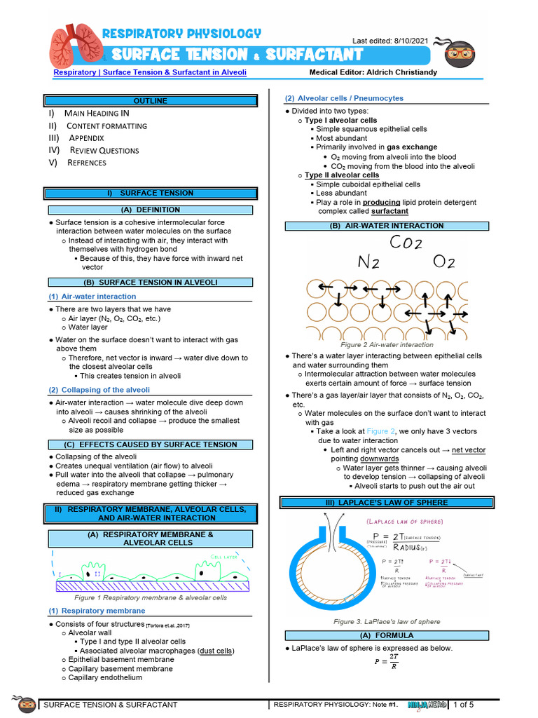 Surface Tension & Surfactant in Alveoli (2) Atf | PDF | Respiratory ...