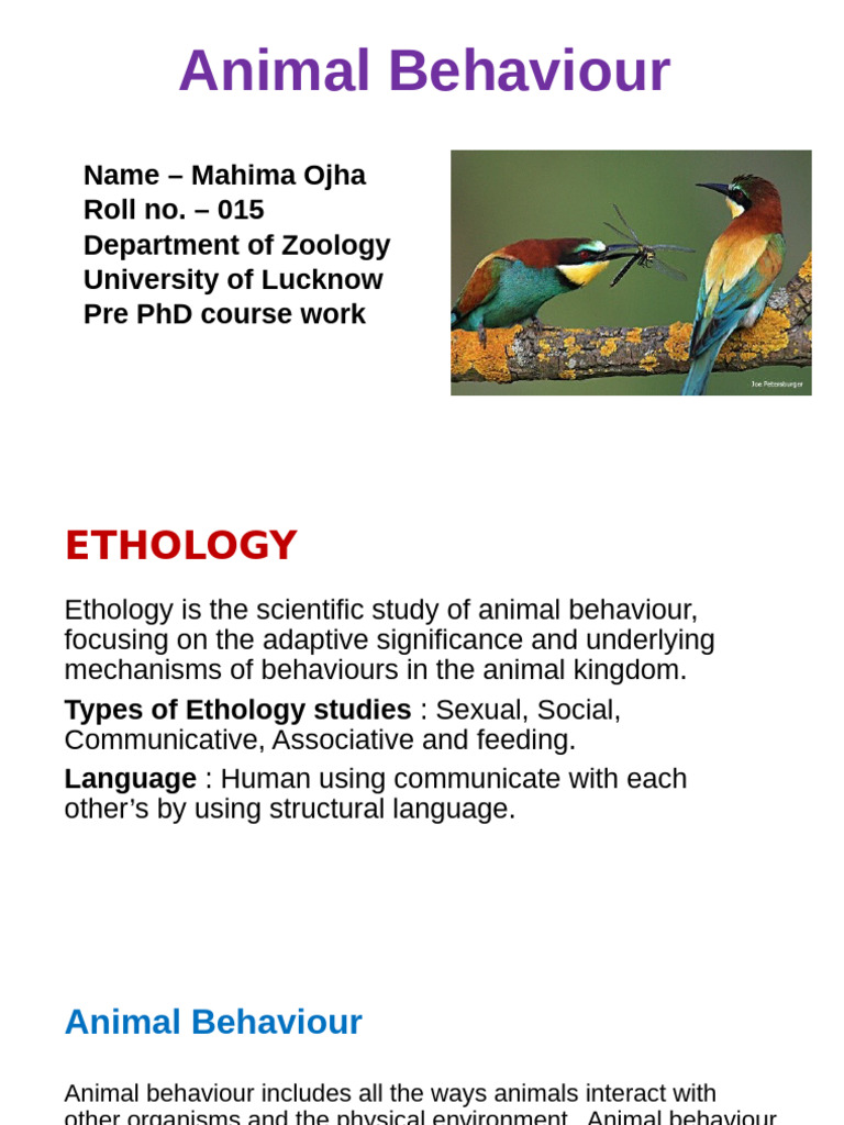 Types of Animal Behaviour Explained | PDF | Ethology | Behavioural Sciences
