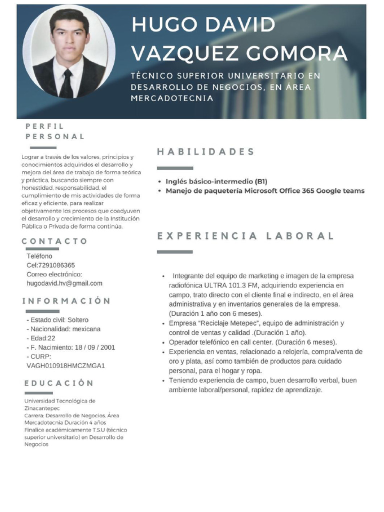 CV Hugo David Vázquez Gomora y | PDF