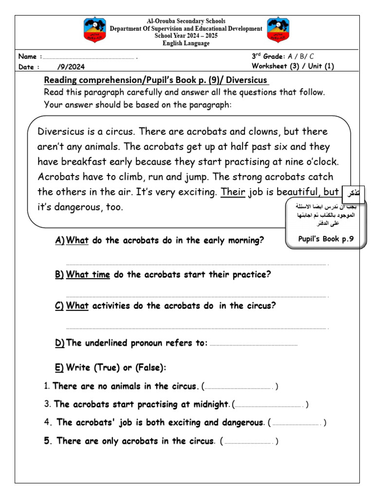 Understanding Diversicus Circus | PDF | Adjective | Noun