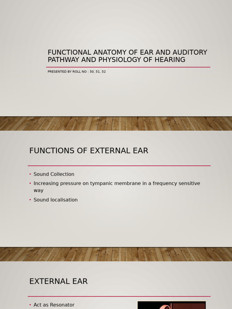 Cochlear Anatomy and Auditory Pathway | PDF | Auditory System | Ear