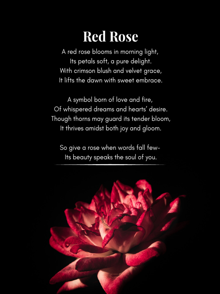 "The Symbolism of a Red Rose" | PDF