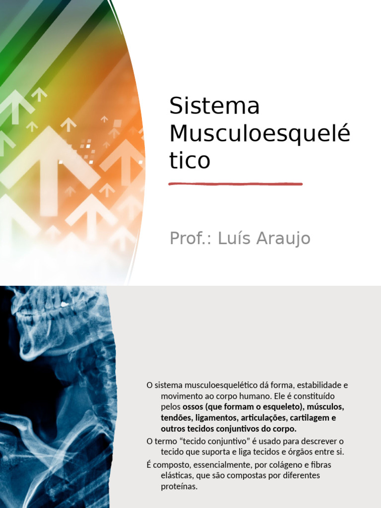 Sistema Musculoesqueletico Anatomia 2 Pdf Músculo Osso