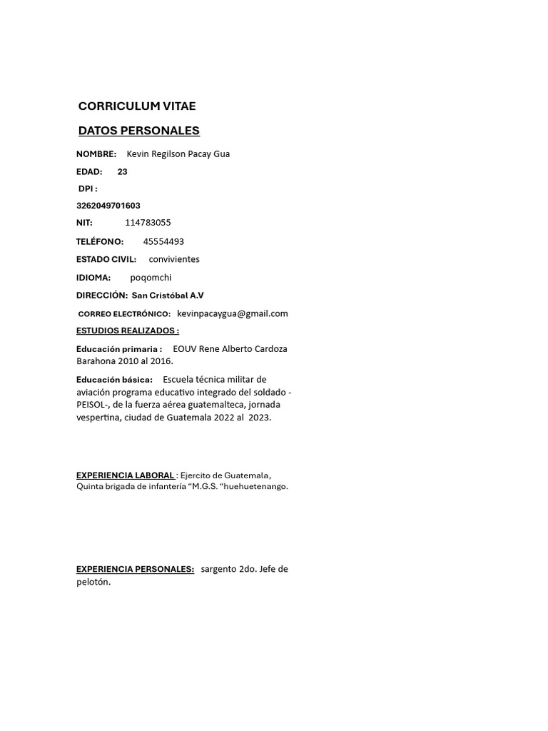 CV Kevin | PDF