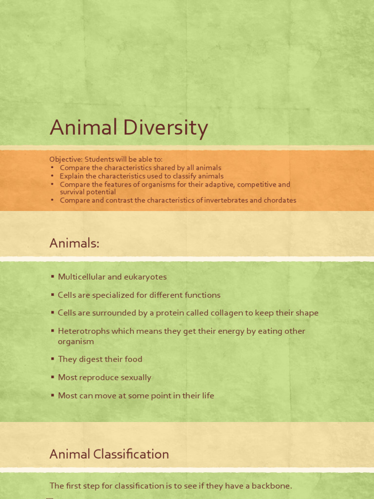 Animal Diversity For Upload | PDF | Invertebrate | Vertebrates