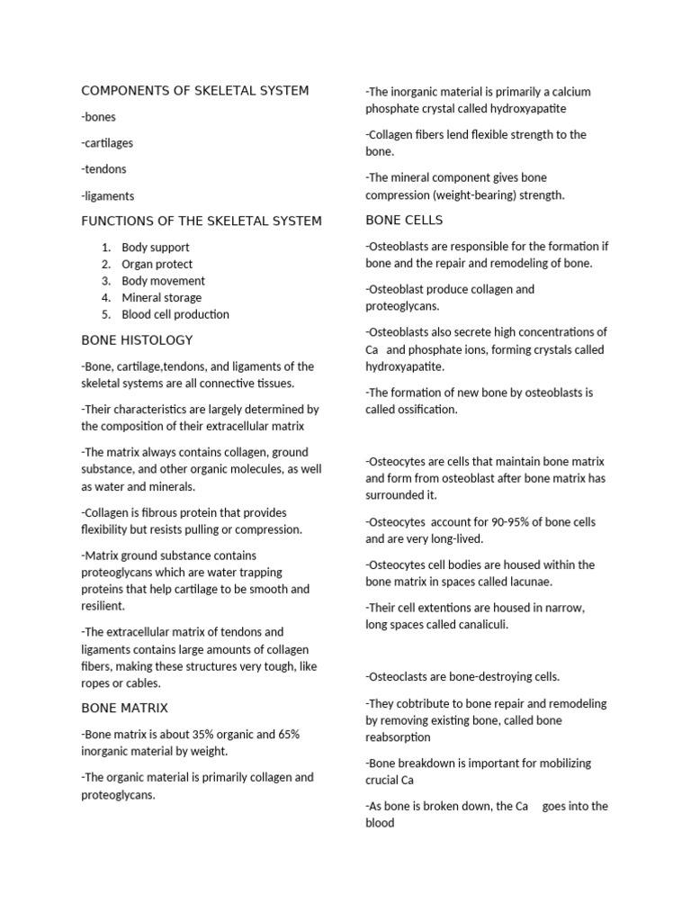 SKELETAL SYSTEM REVIEWVER For Merge | PDF | Bone | Extracellular Matrix