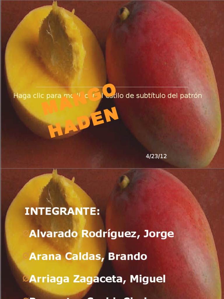Seminario 2 - Mango Haden | Hungary | Czech Republic