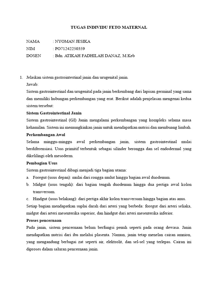Nyoman Jesika - Kelas D - Tugas Individu Feto Maternal | PDF