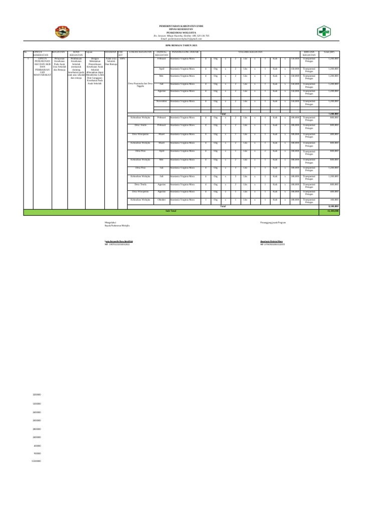 RPK Remaja 2025 | PDF