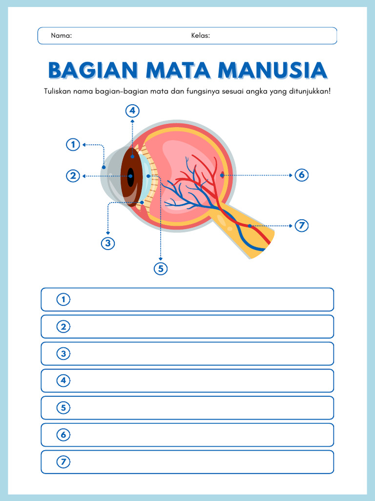 Bagian Mata | PDF