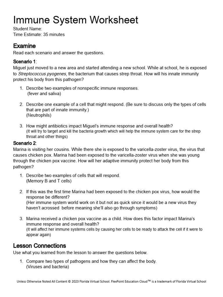 Immune System Worksheet for Students | PDF | Immune System | Pathogen