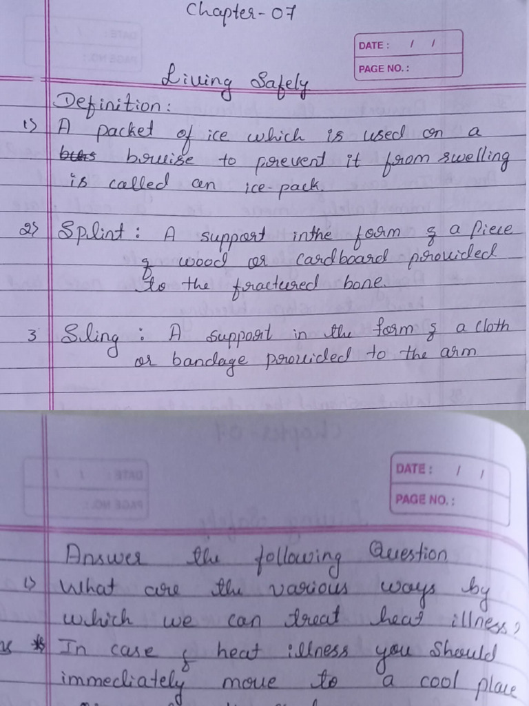 Class 5 Chapter 7 | PDF