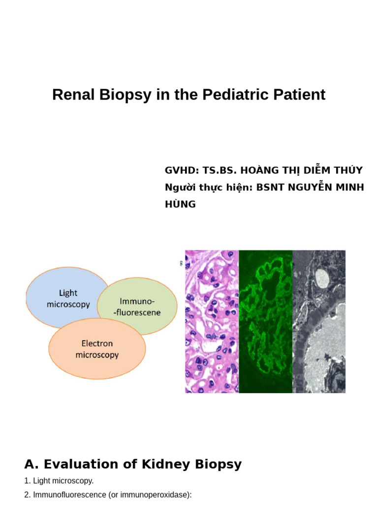 Renal Biopsy in The Pediatric Patient | PDF | Kidney | Medical Specialties