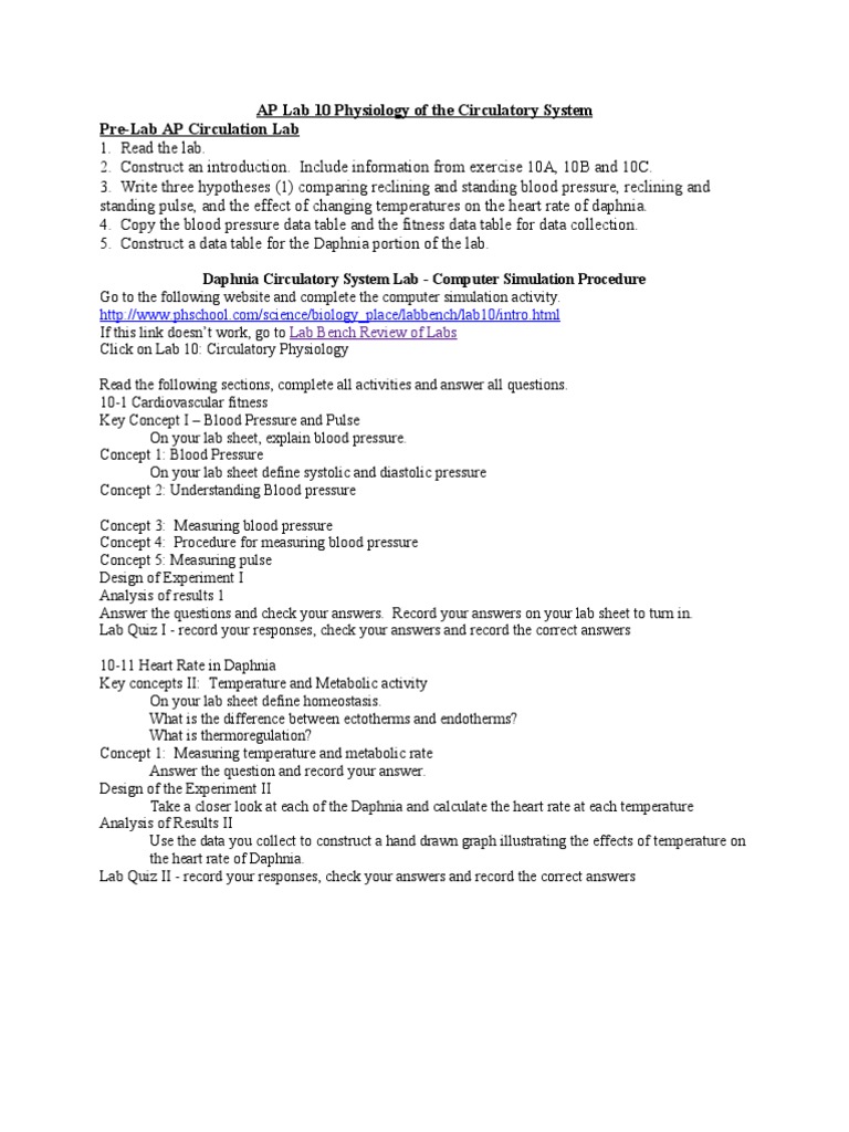 Circulatory System Lab Overview | PDF | Circulatory System | Blood Pressure