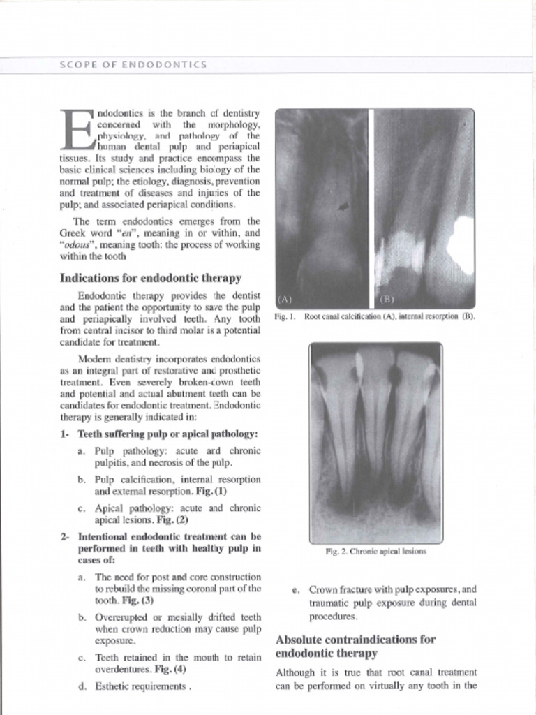 Endodontics: Principles and Practices Guide | PDF