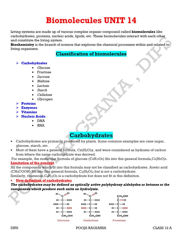 Biomolecules: Carbohydrates Overview | PDF | Carbohydrates | Amino Acid