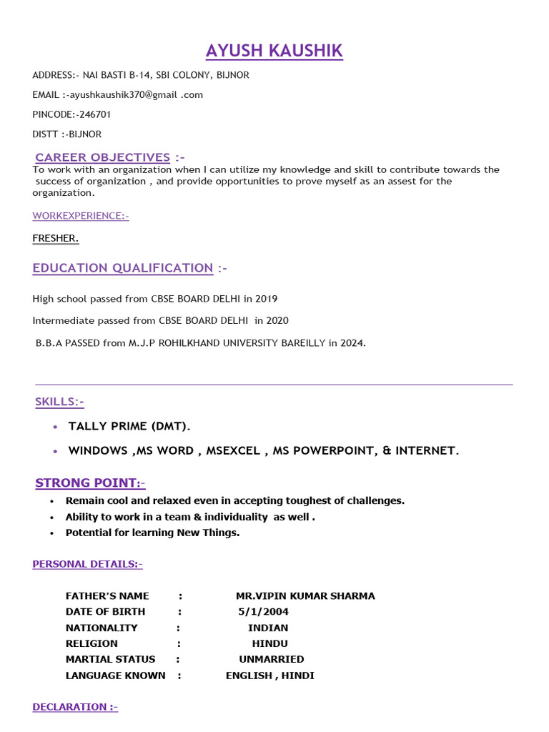 Aryan Professional Resume | PDF