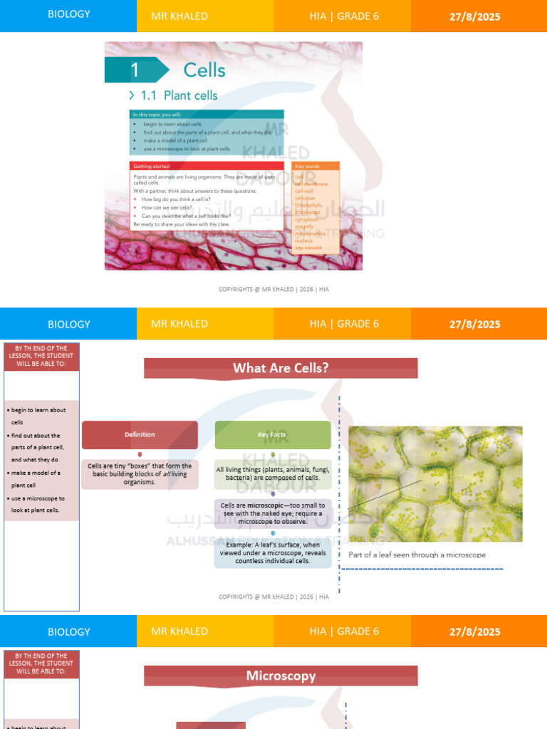 Plant Cell Basics for Grade 6 | PDF | Cell (Biology) | Biology