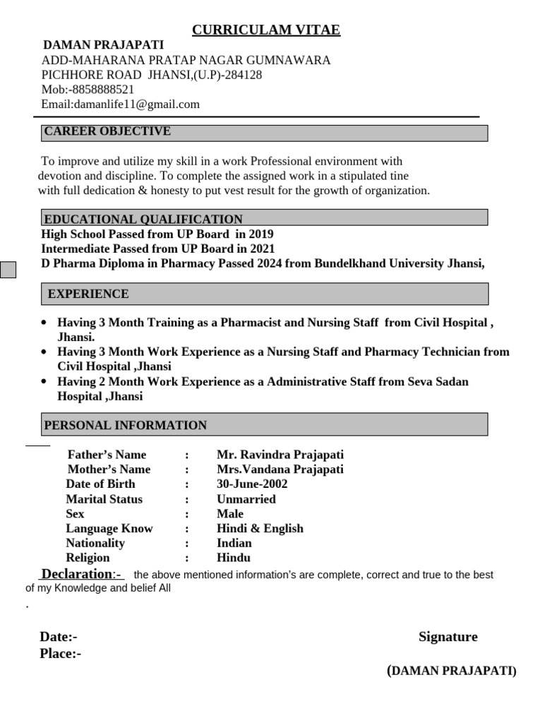 Daman Prajapati's CV Summary | PDF