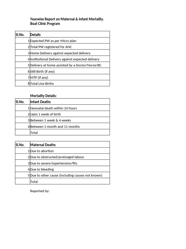 Infant and Maternal Mortality Report 2024 | PDF