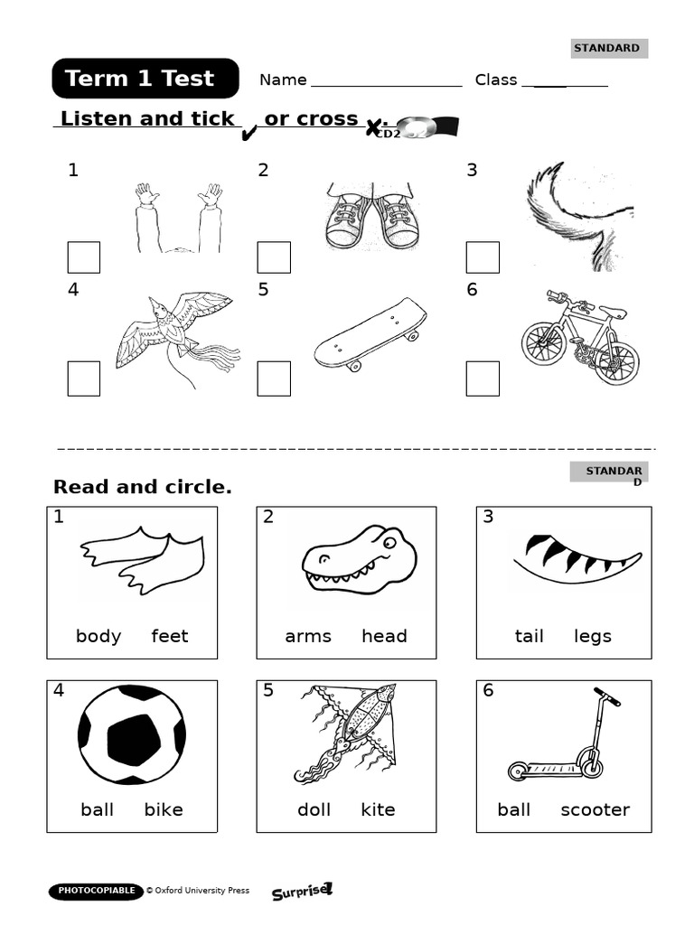 Term 1 Test Activity Sheet | PDF
