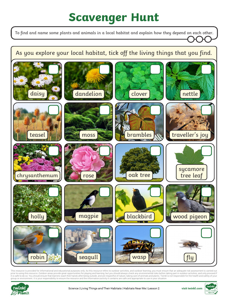 Local Habitat Scavenger Hunt Guide | PDF | Habitat