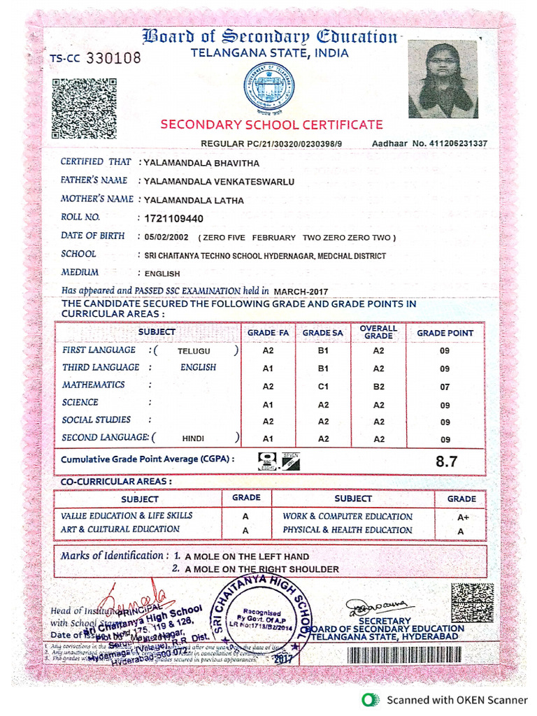 Board Certificate | PDF