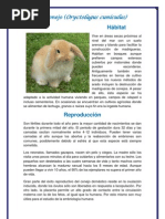 Ciclo de Vida del Conejo para Niños | PDF