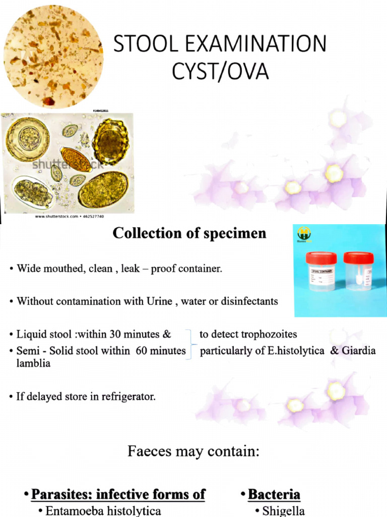 Stool Examination | PDF