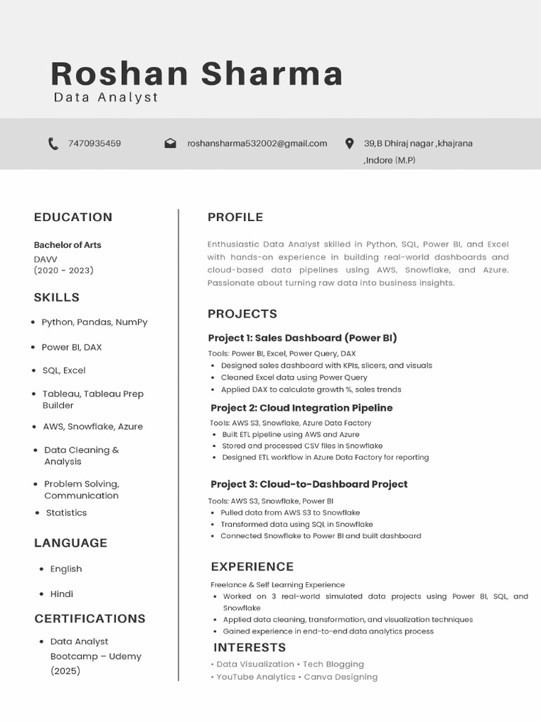 Minimalist Modern Professional CV Resume-4 | PDF