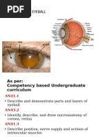 Choroid Anatomy and Layer Structure | PDF | Anatomy | Morphology (Biology)