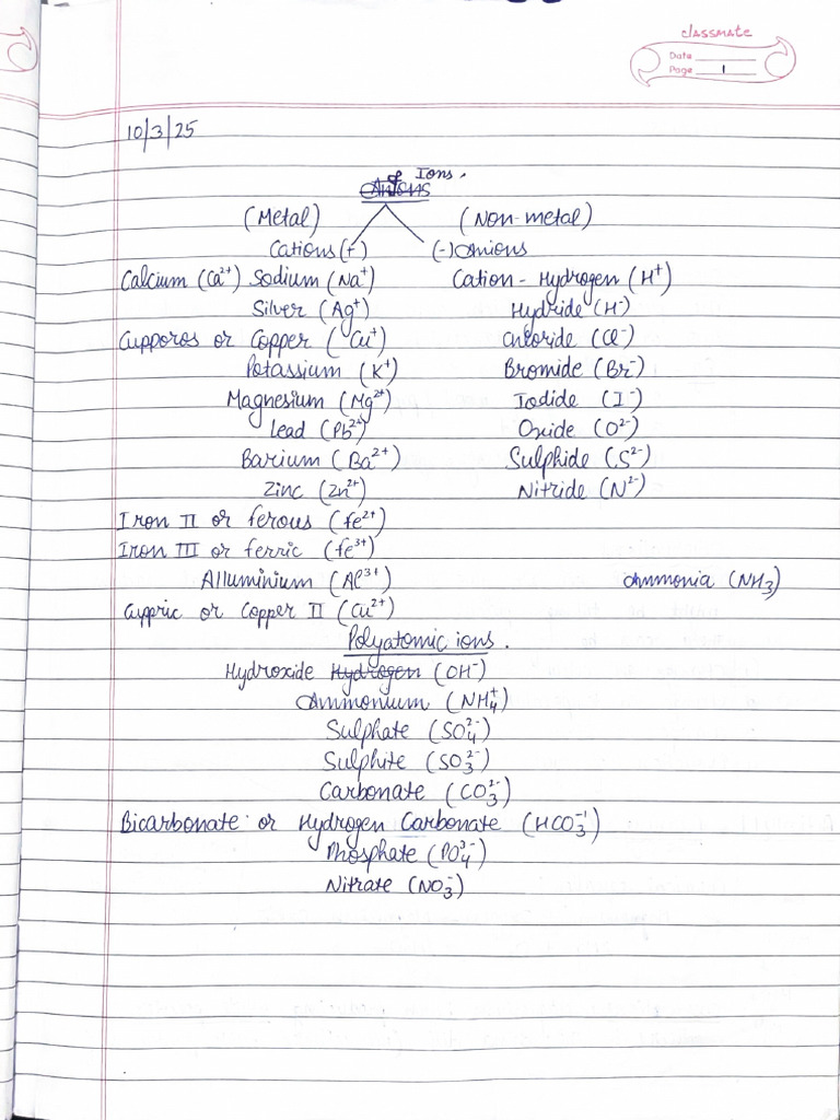 Ch-1 10th Sci Hand Notes | PDF