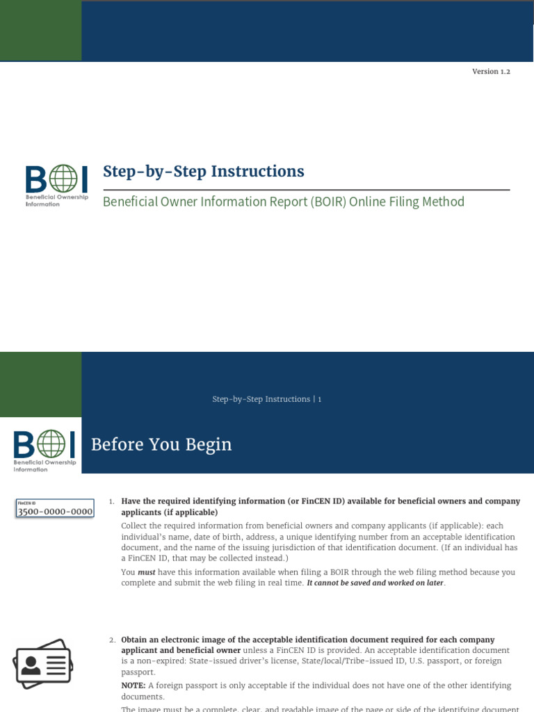 BOIR E-File Online Step-By-Step Instructions | PDF | Identity Document ...